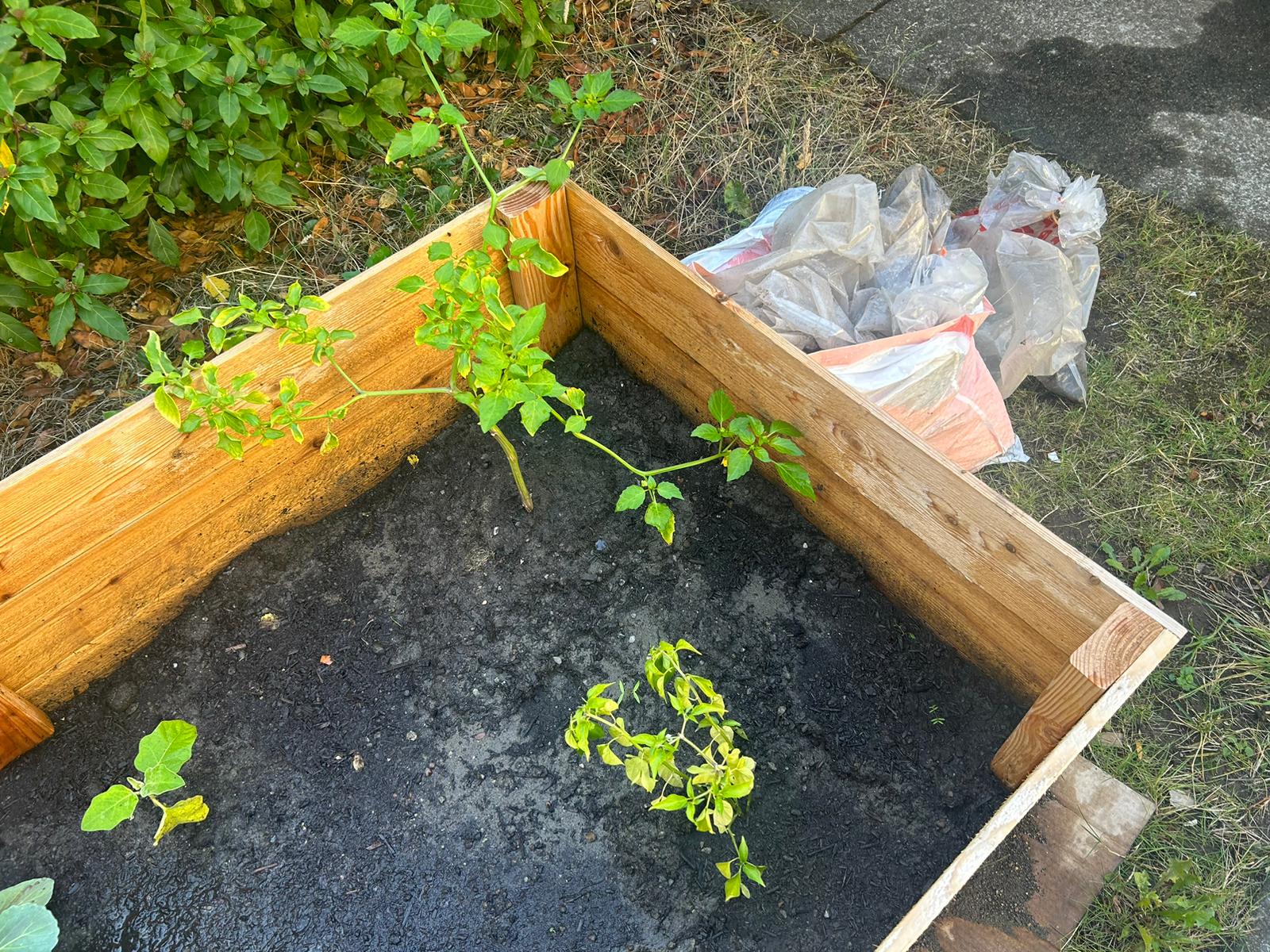 Gardening Program – Somali Family Safety Task Force