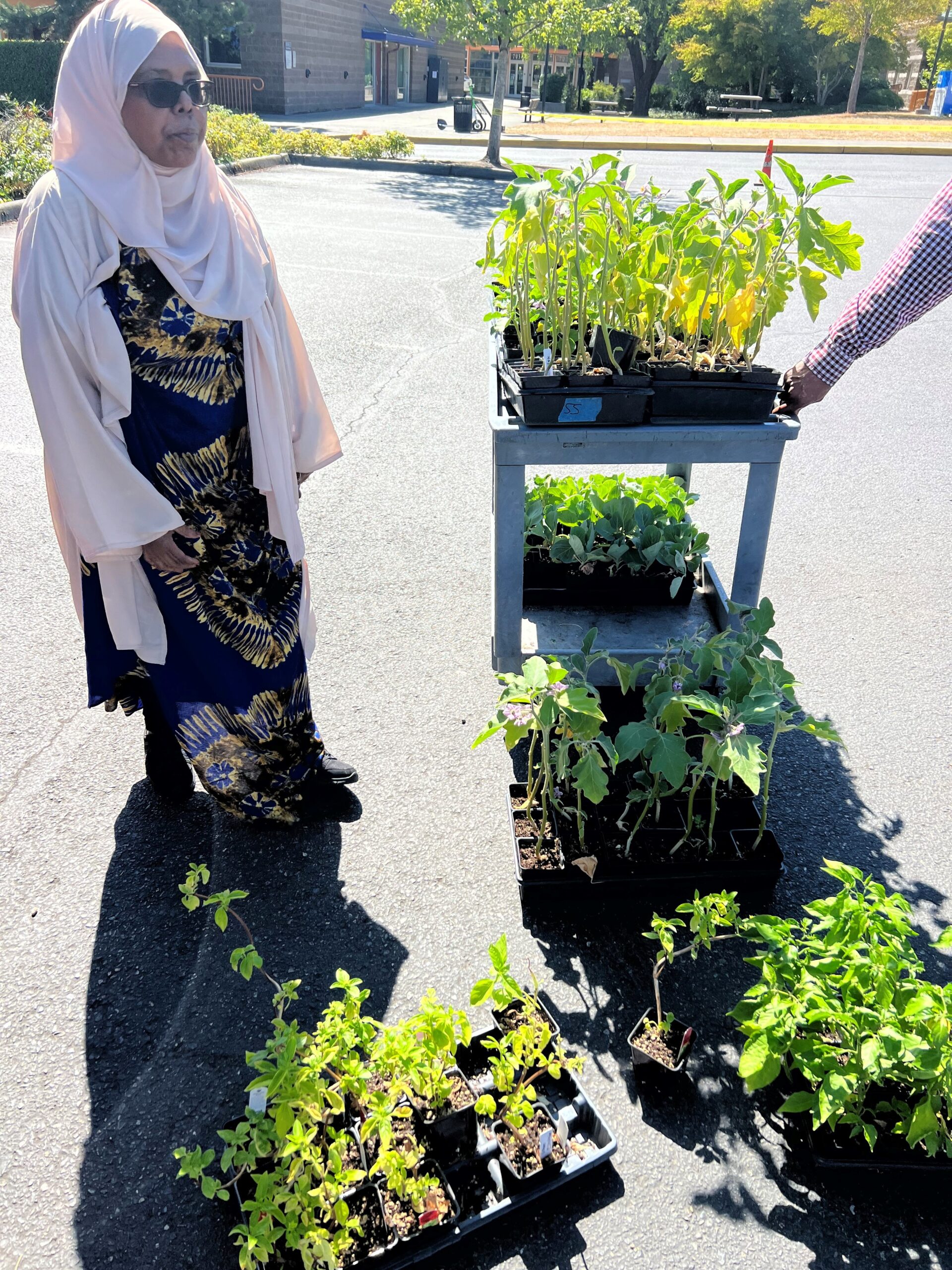 Gardening Program – Somali Family Safety Task Force