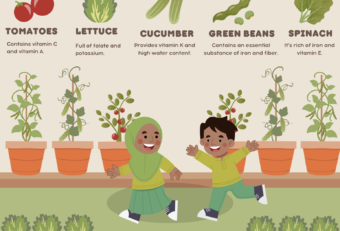 Somali Family Safety Task Force – Empowering women. Strengthening families.